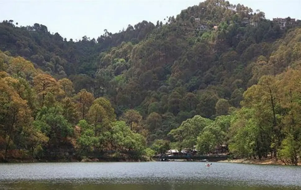 Top Weekend Treks Near Bhimtal for Beginners and Experts